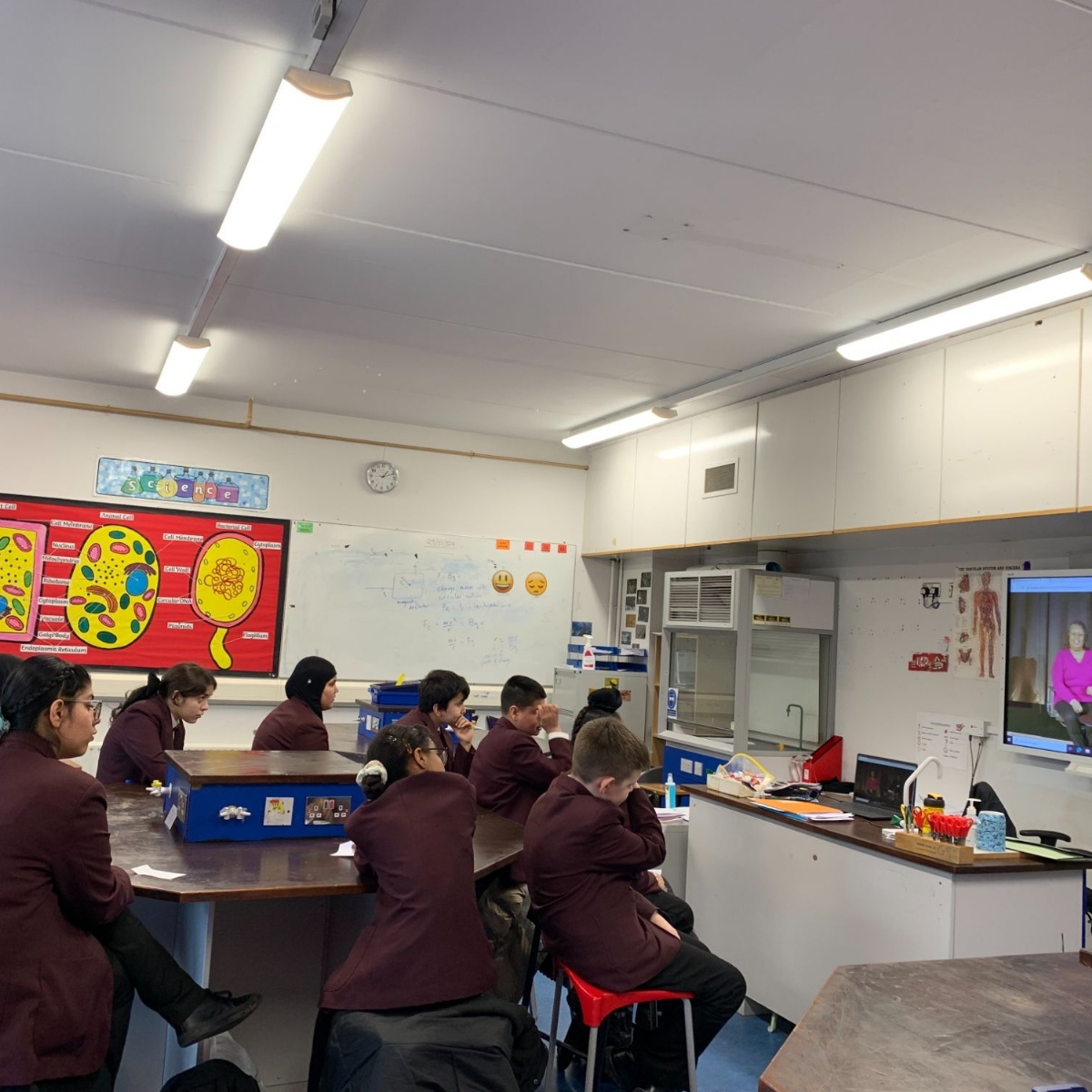 Author's Virtual Visit to Barnhill - Barnhill Community High School